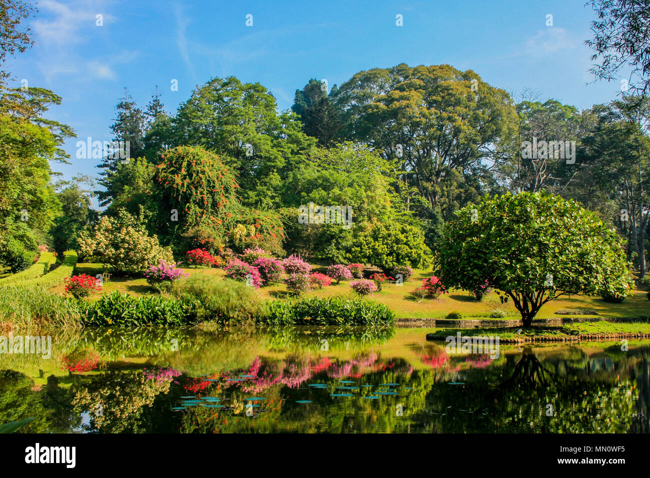 Botanic Gardens in Sri lanka Stock Photo - Alamy