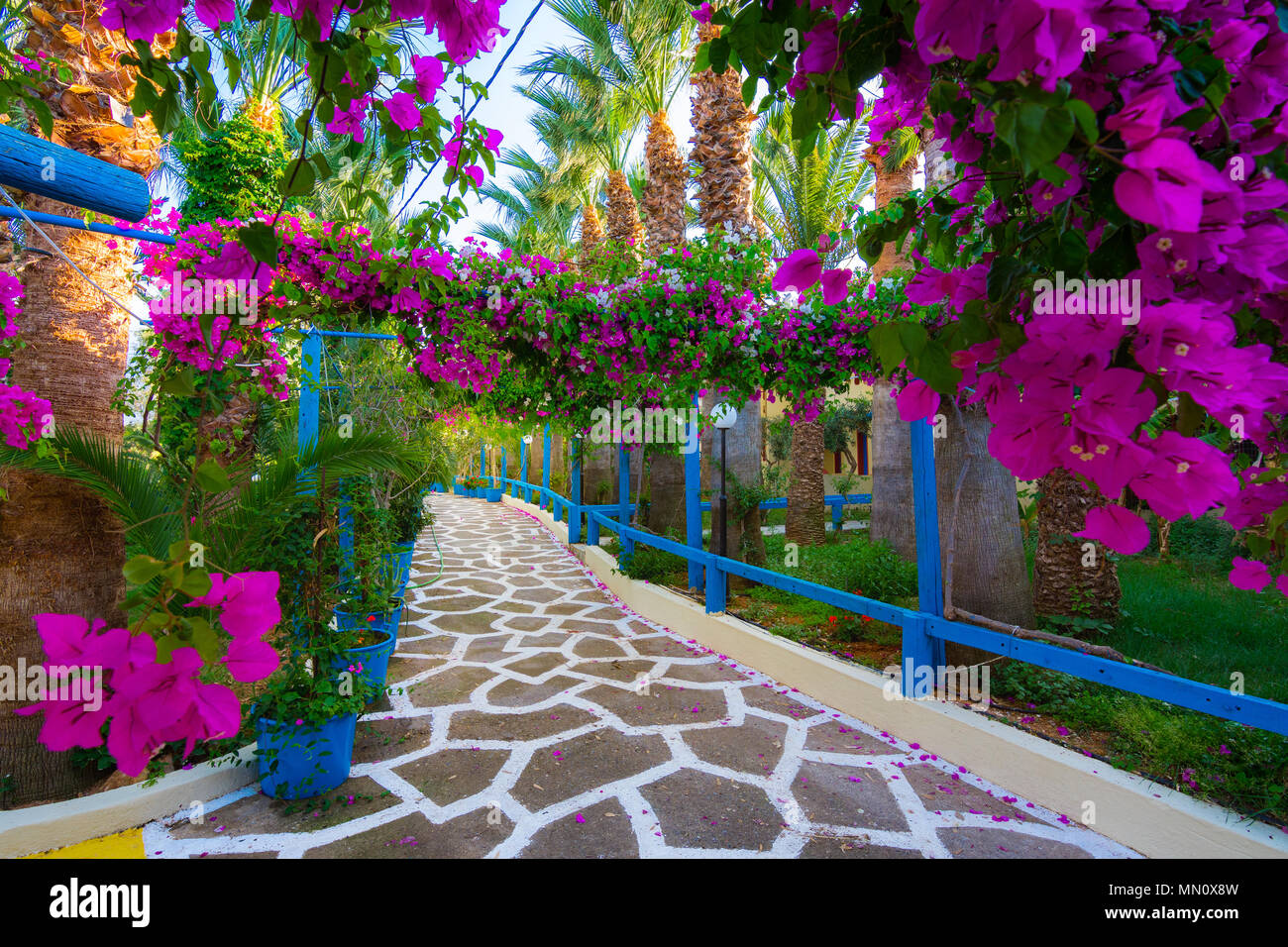 Narrow paved street full of colorful flowers in Sisi, Crete, Greece ...