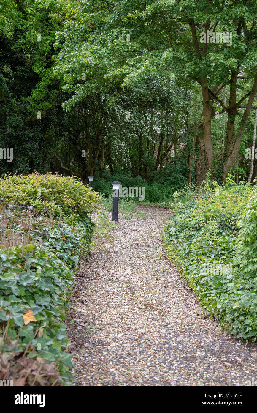 foot path for pedestrians in a park surrounded by plants and trees ...
