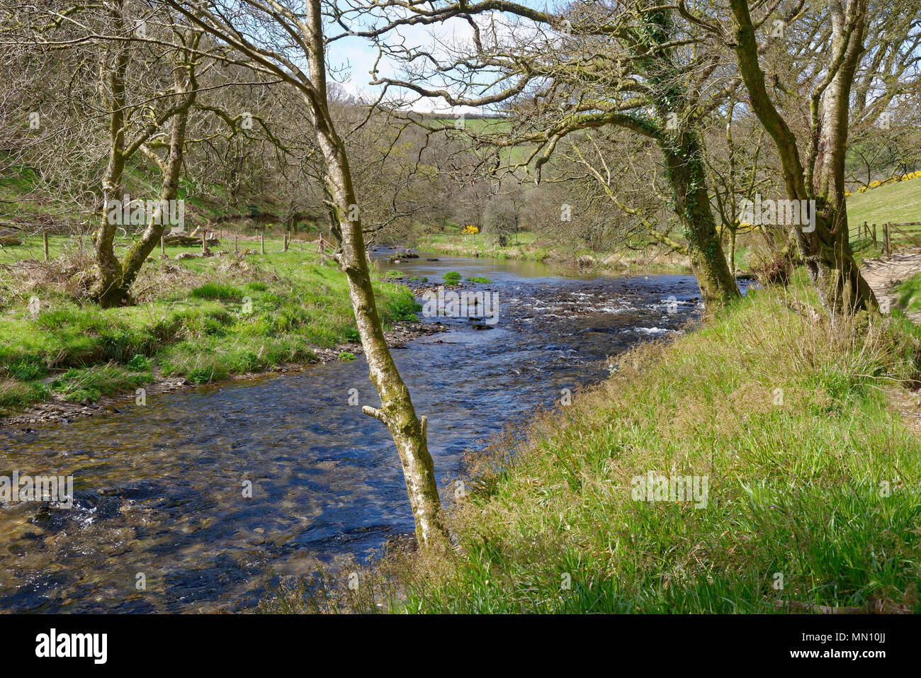 River Barle between Withypool & Tar Steps, Exmoor, Somerset Stock Photo ...