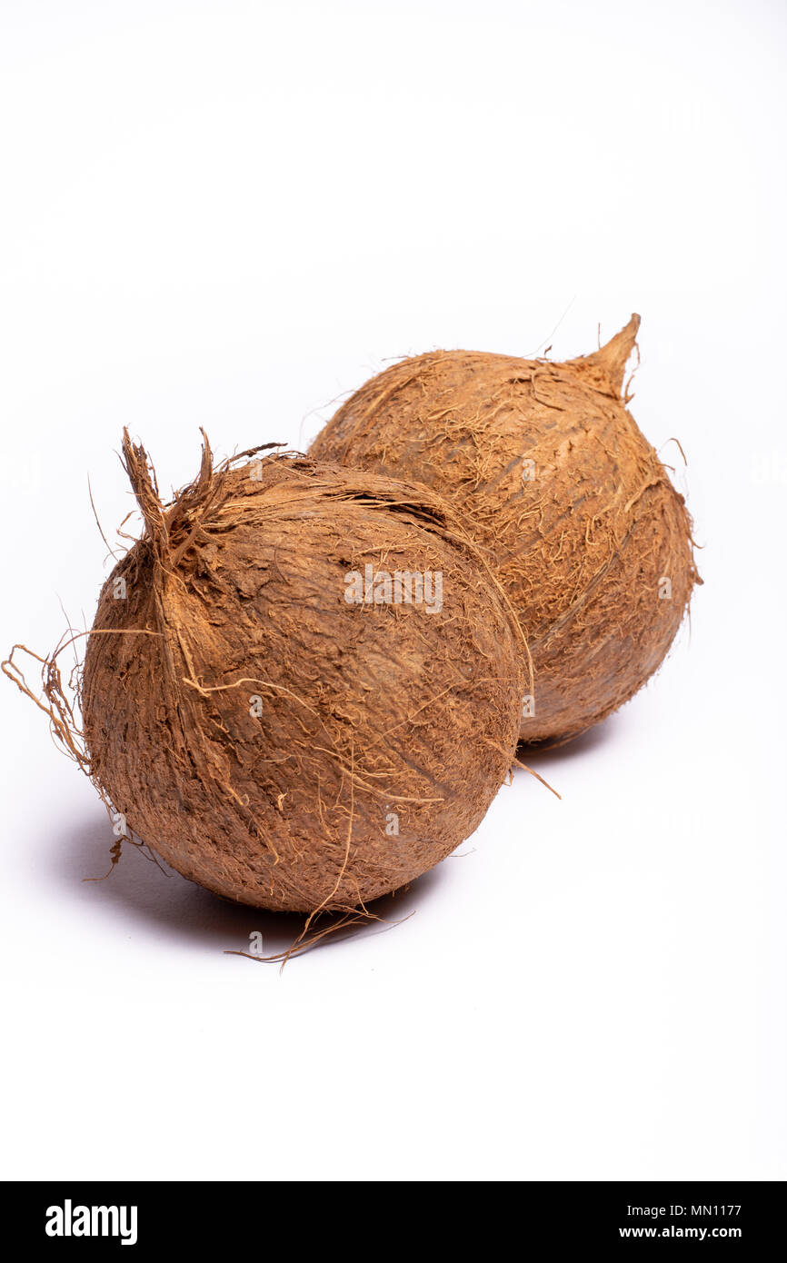 Two big brown whole coconuts close up copy space isolated on white ...