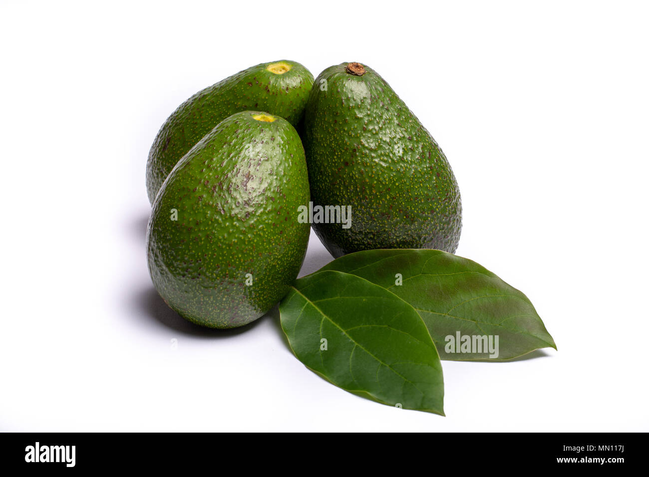 Fresh organic ripe green Fuerte avocado with leaves, copy space close ...