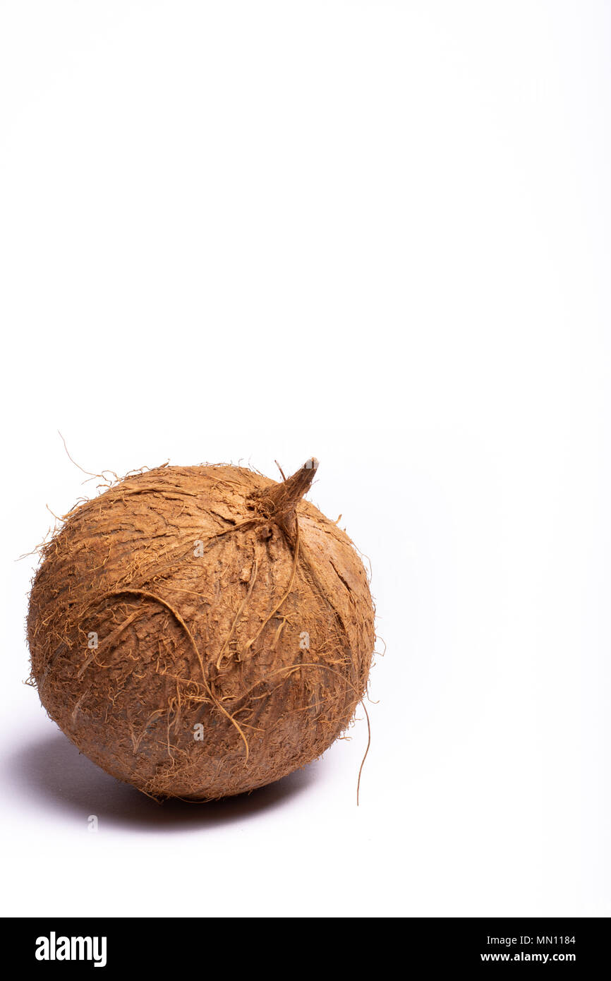 One big brown whole coconut close up copy space isolated on white ...