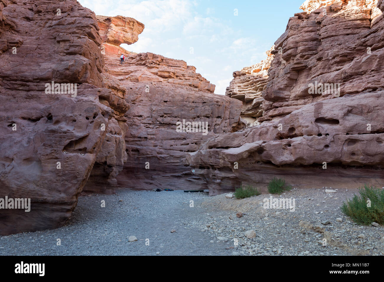 Visiting eilat hi-res stock photography and images - Alamy