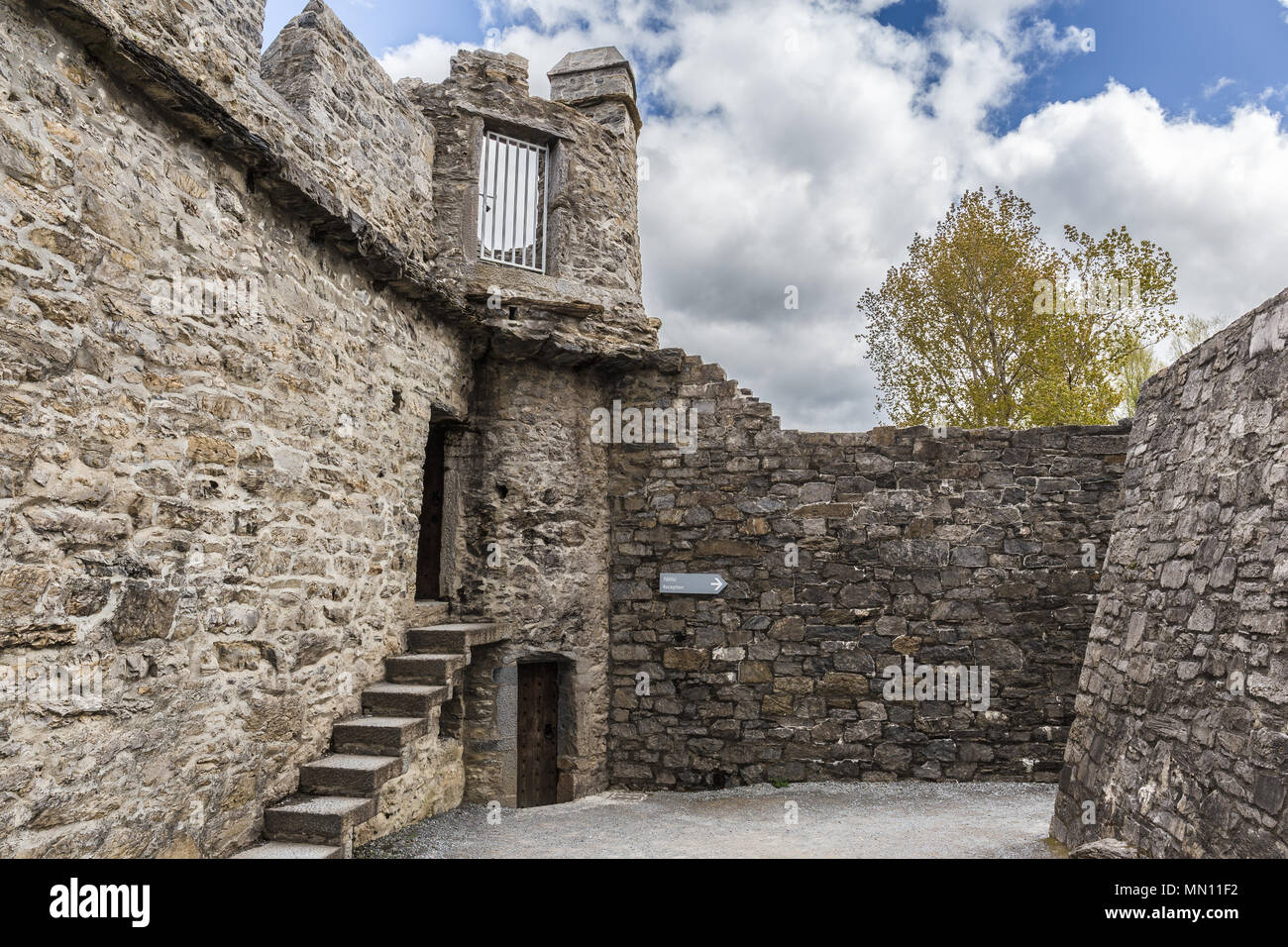 Ireland Killarney National Park Ross Castle Stock Photo - Alamy