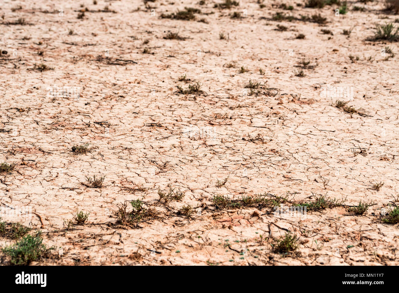 Saline Soil High Resolution Stock Photography and Images - Alamy