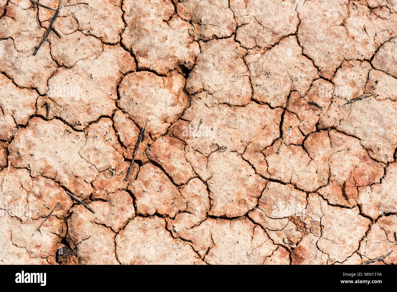 Dry saline soil surface for background texture Stock Photo - Alamy