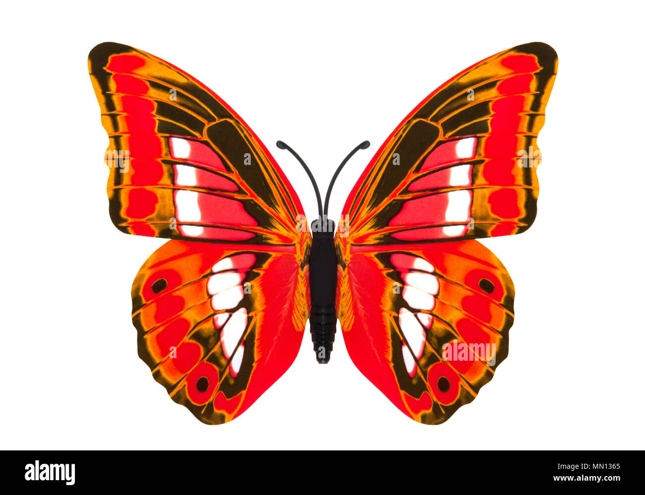Beautiful colorful butterfly isolated over white Stock Photo - Alamy