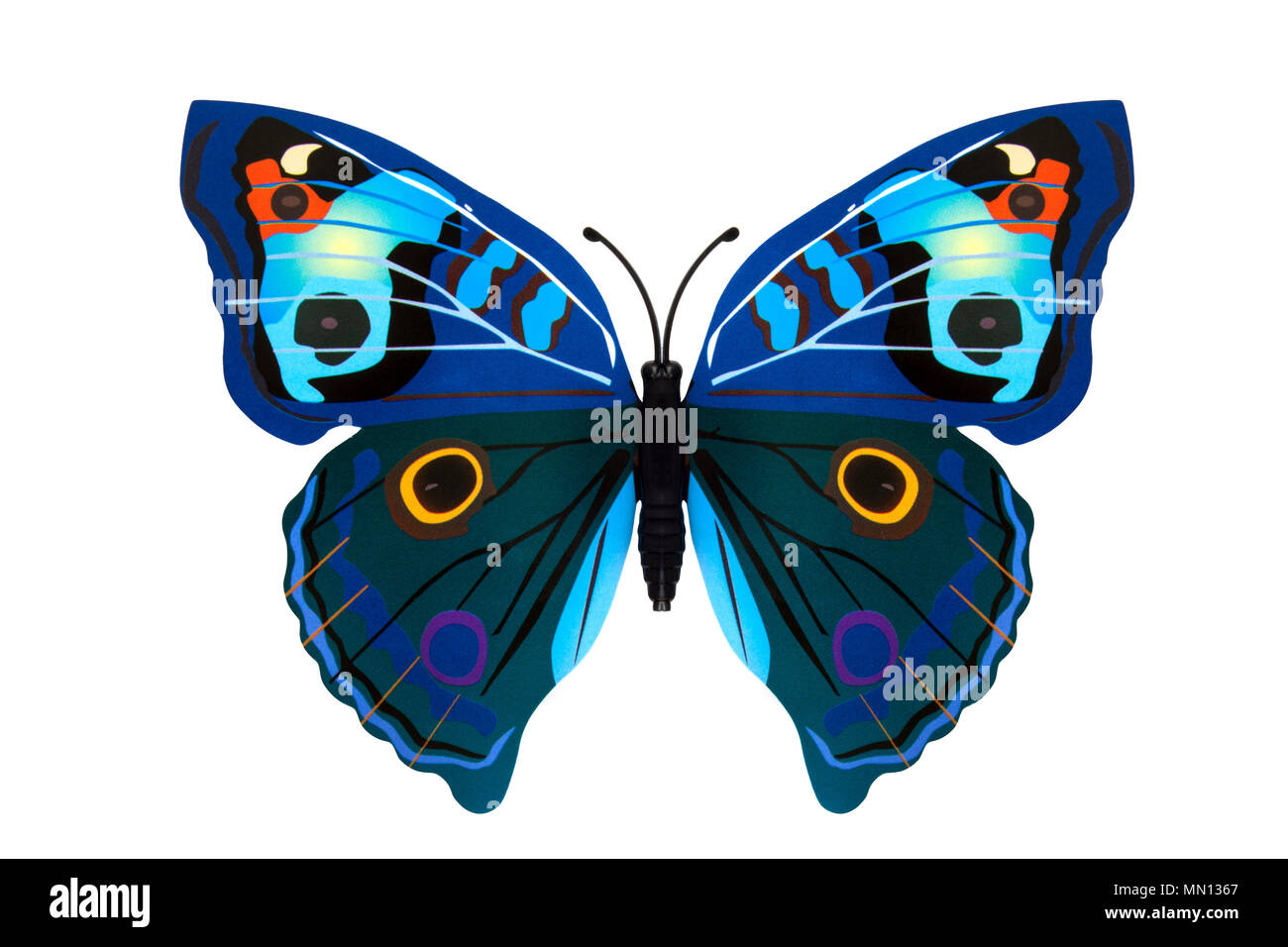 Beautiful blue colored butterfly isolated over white Stock Photo - Alamy