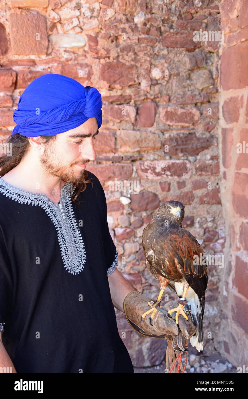 Harris hawk handler hi-res stock photography and images - Alamy