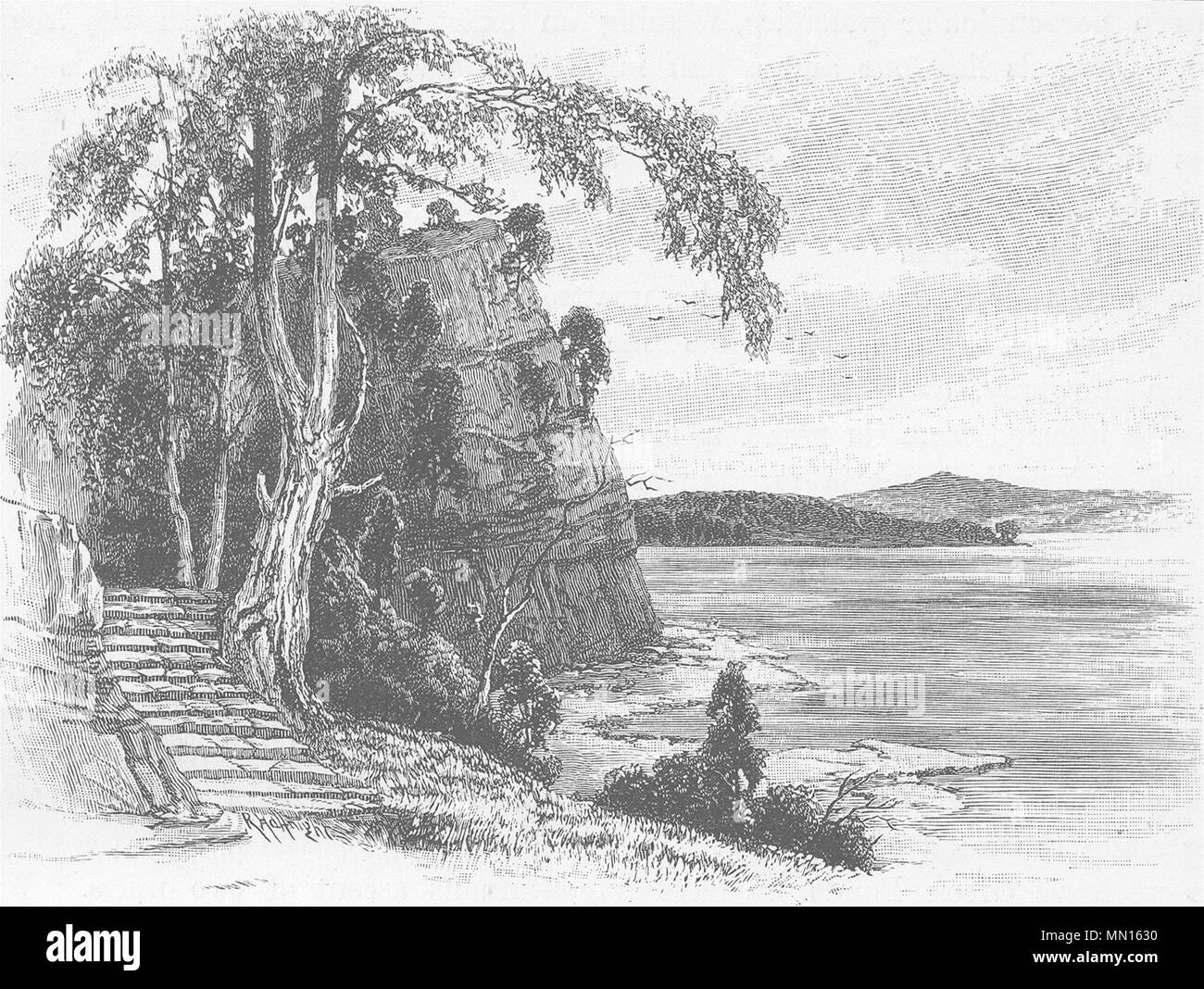 AUSTRALIA. Tasmania. bit of Derwent 1890 old antique vintage print ...