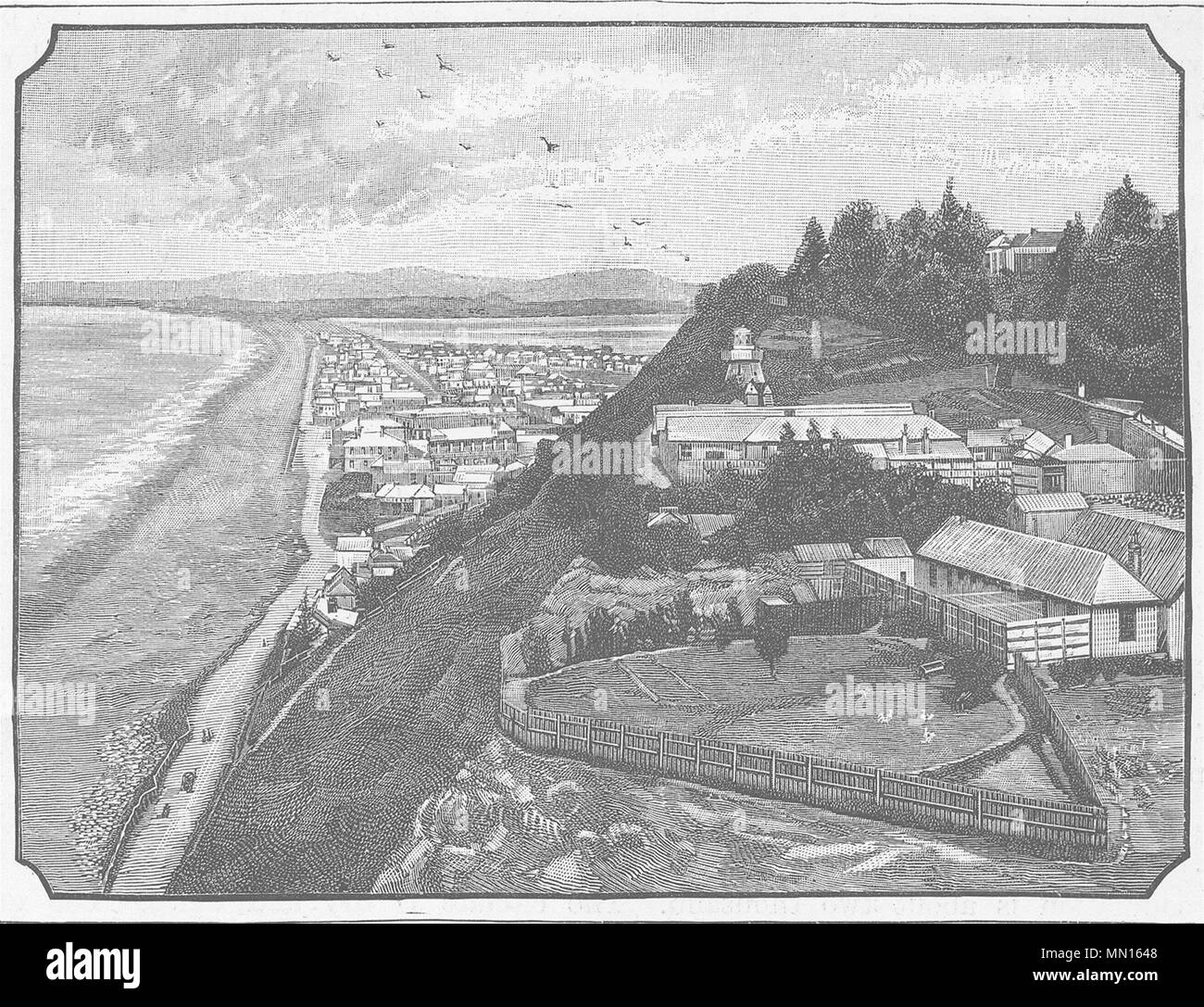 New zealand ports 19th century hi-res stock photography and images - Alamy