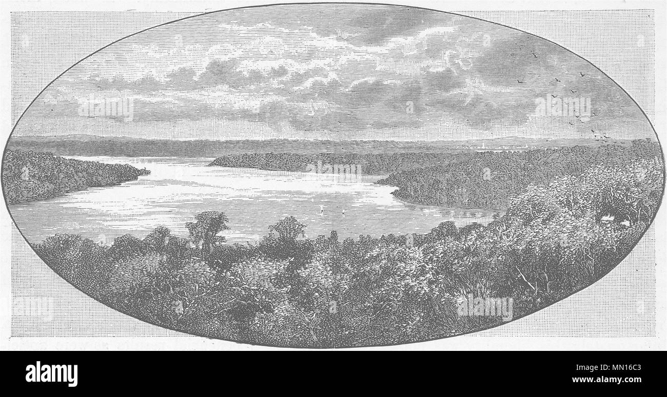 AUSTRALIA. West. Swan River 6 miles above Perth 1890 old antique print ...