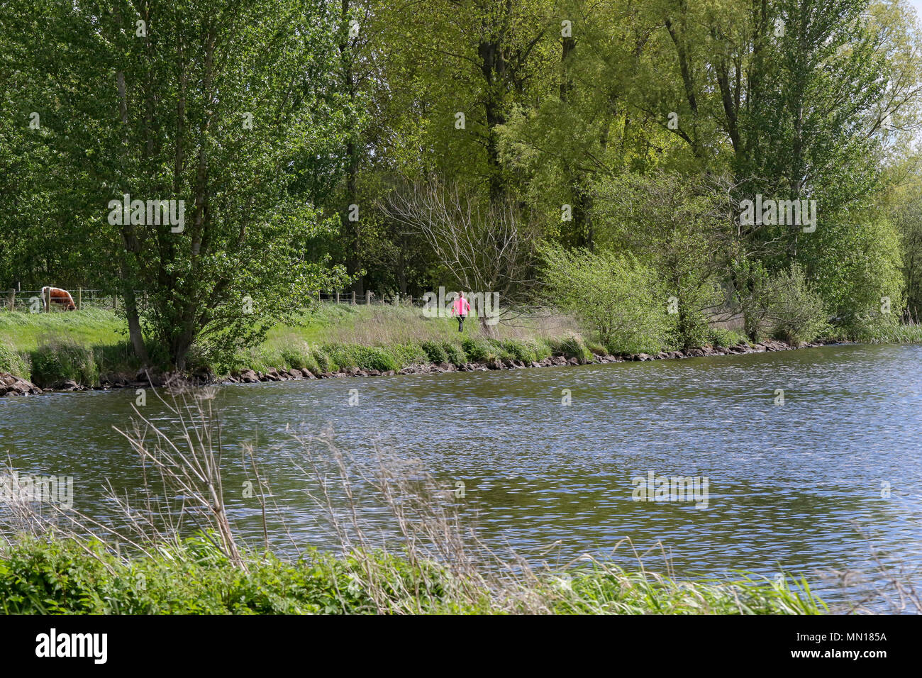 Craigavon lake hi-res stock photography and images - Alamy