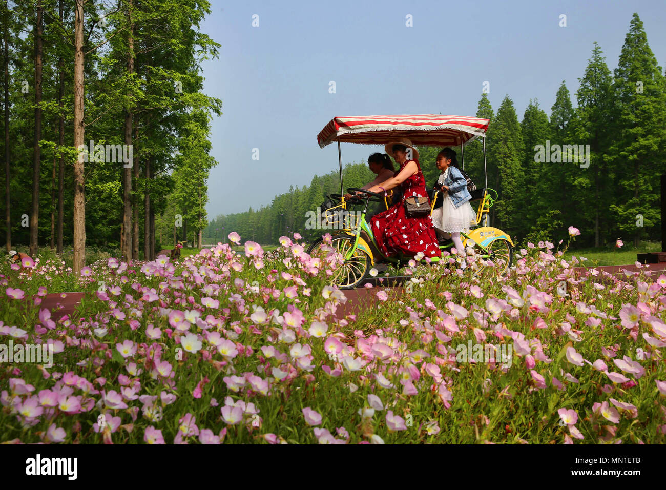Yancheng, Yancheng, China. 13th May, 2018. Yancheng, CHINA-13th May ...