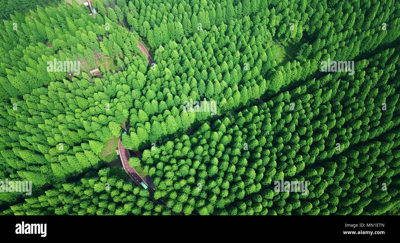 Yancheng, Yancheng, China. 13th May, 2018. Yancheng, CHINA-13th May ...