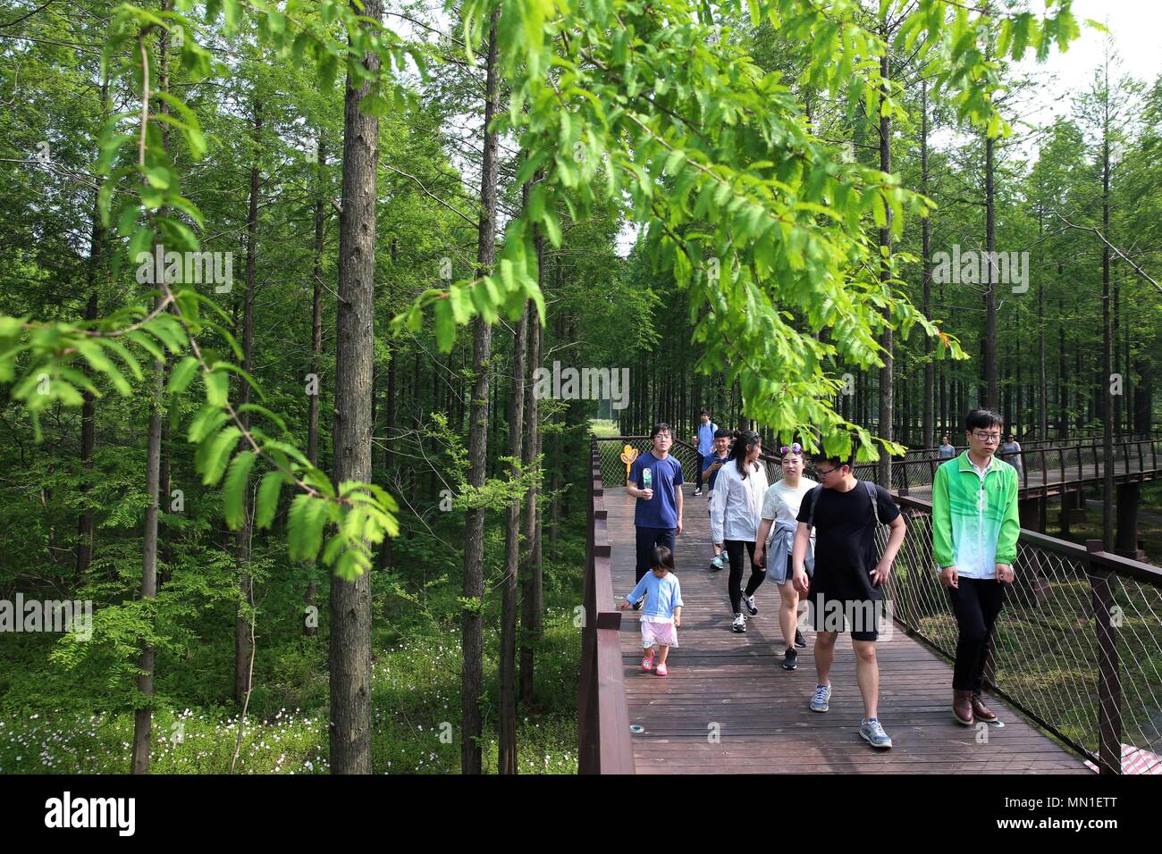 Yancheng, Yancheng, China. 13th May, 2018. Yancheng, CHINA-13th May ...