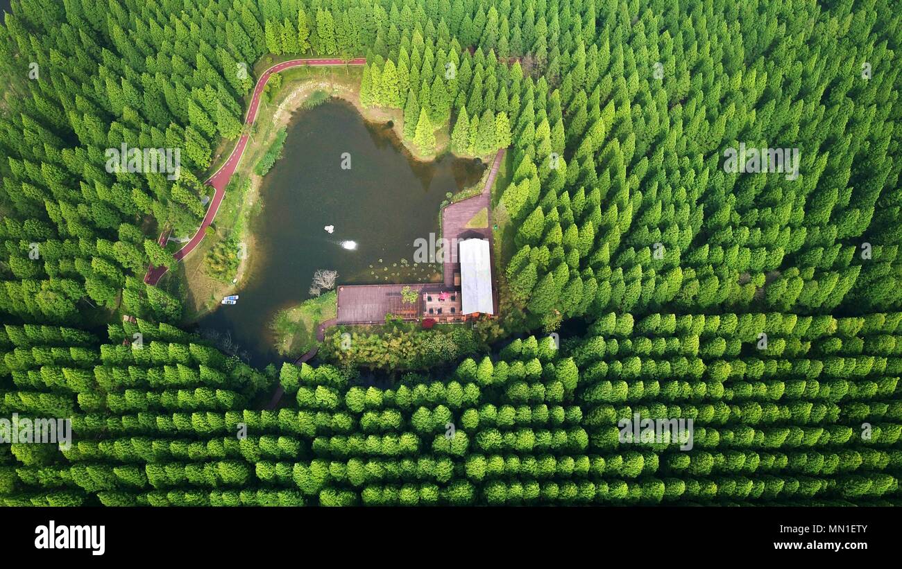 Yancheng, Yancheng, China. 13th May, 2018. Yancheng, CHINA-13th May ...