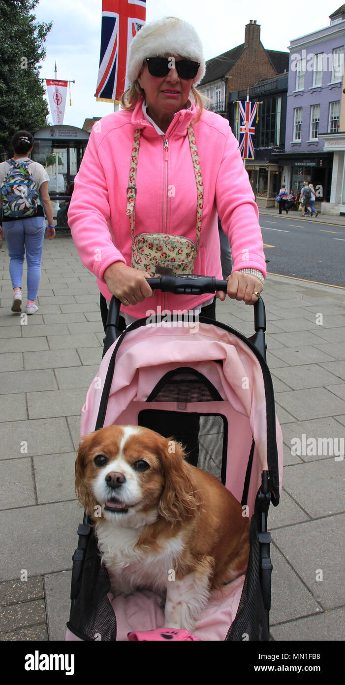 Windsor royal family photo with dog hi-res stock photography and images ...