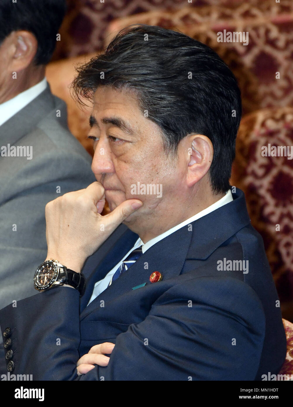 Veterinary school hi-res stock photography and images - Alamy