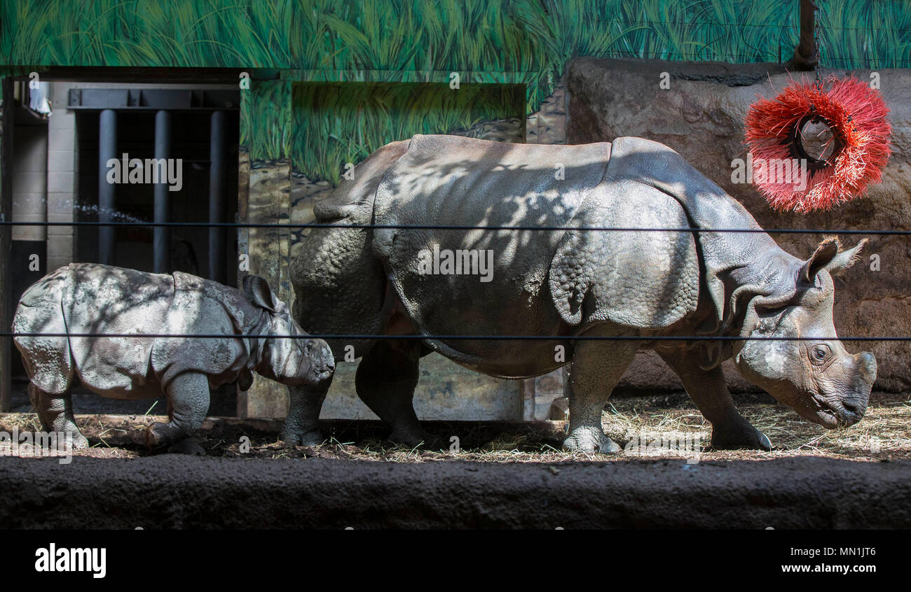 Zxj hi-res stock photography and images - Alamy