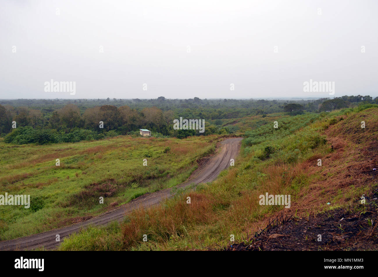 Battle Of Bloody Ridge Guadalcanal