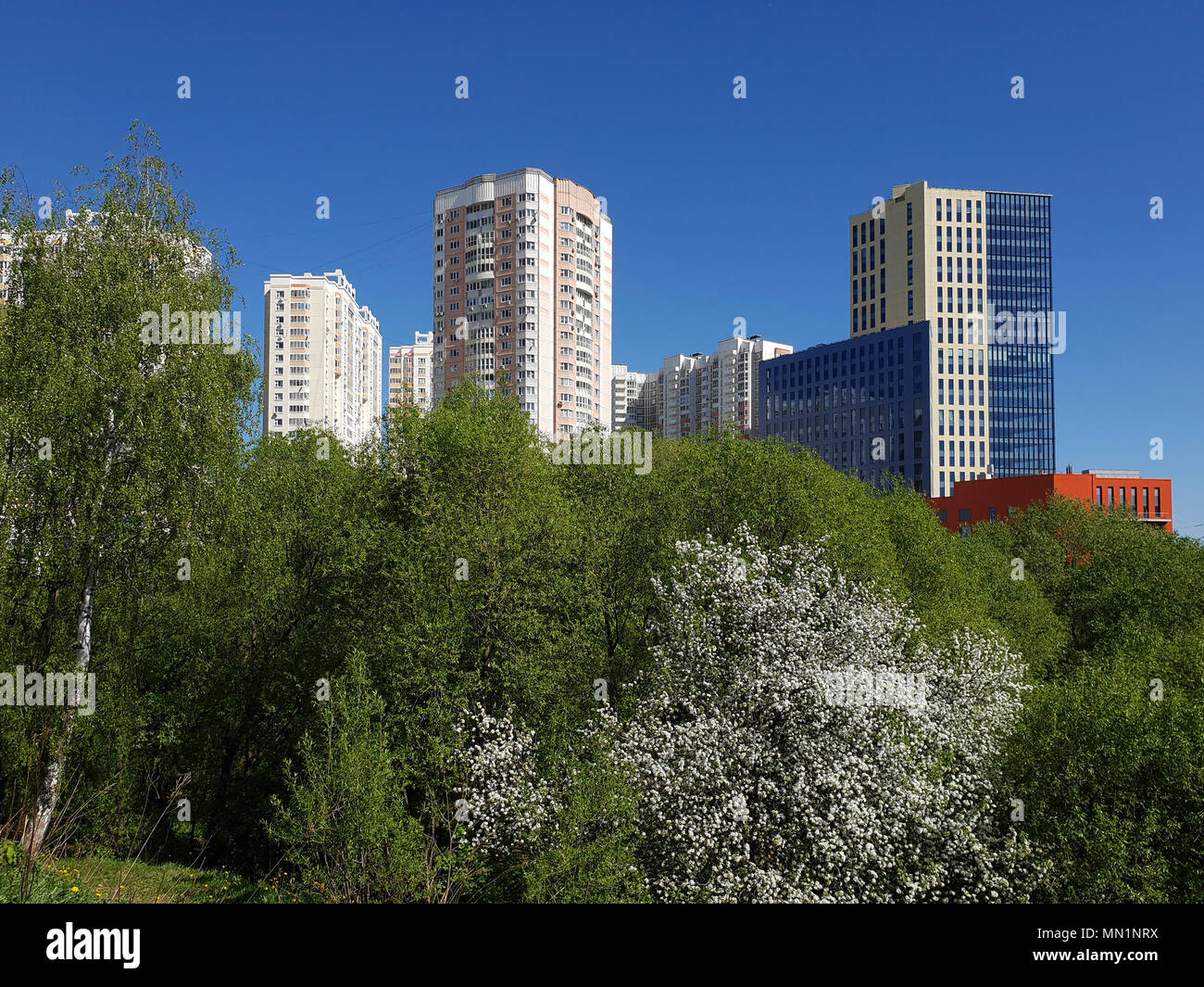 city landscape in an ecologically clean place in city of Khimki, Russia ...