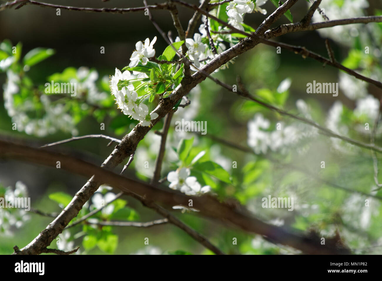 Feeling of freshness hi-res stock photography and images - Alamy