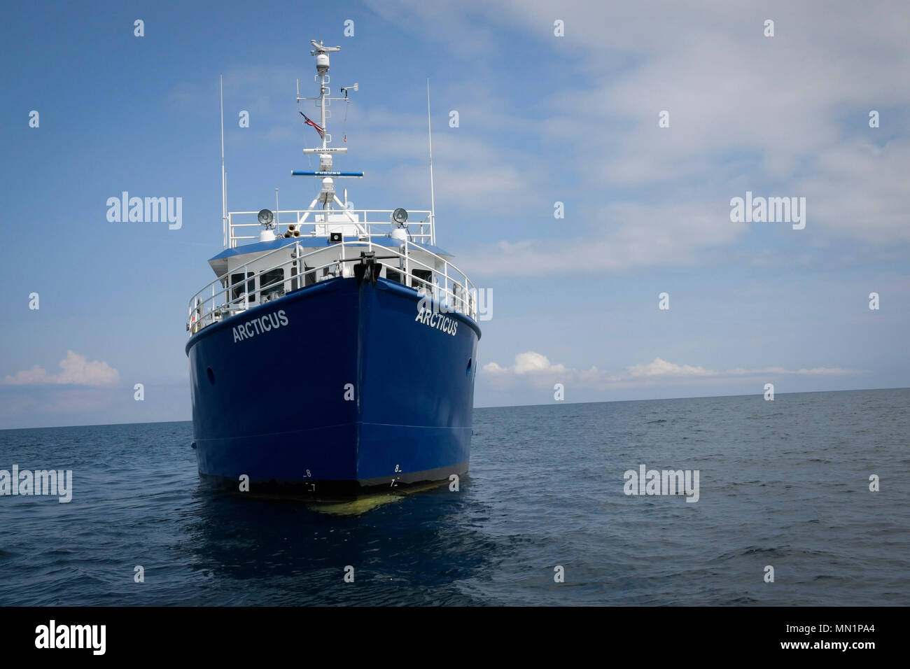 Evade capture hi-res stock photography and images - Alamy