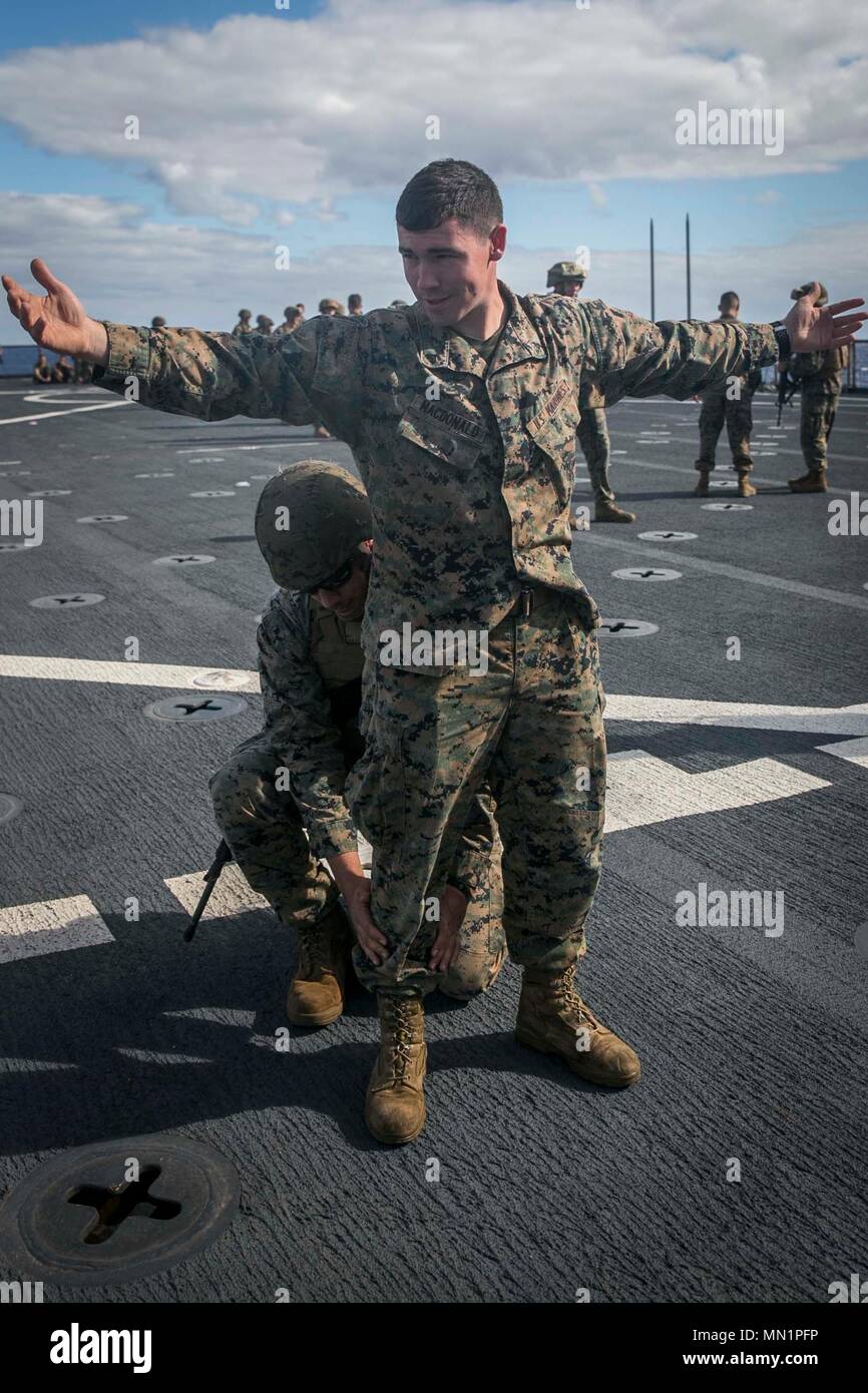 Ryan macdonald hi-res stock photography and images - Alamy
