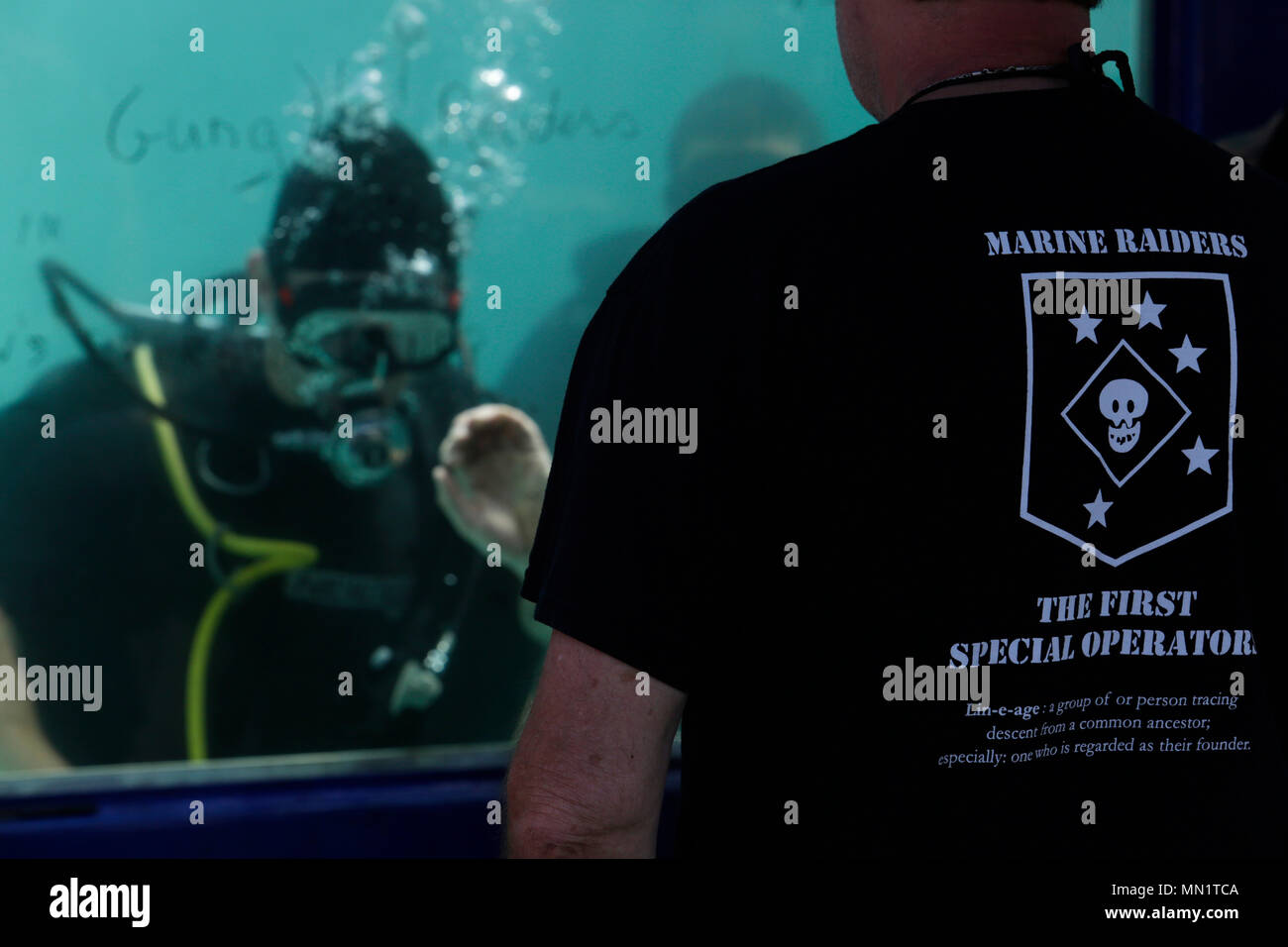 Bruce Burlingham, U.S. Marine Raider Association, observes a diving ...