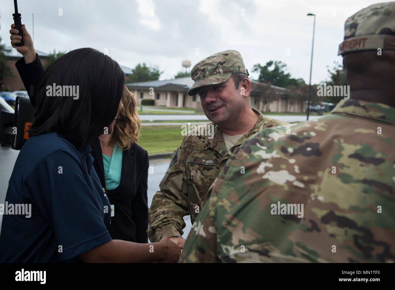 492 sow hi-res stock photography and images - Alamy