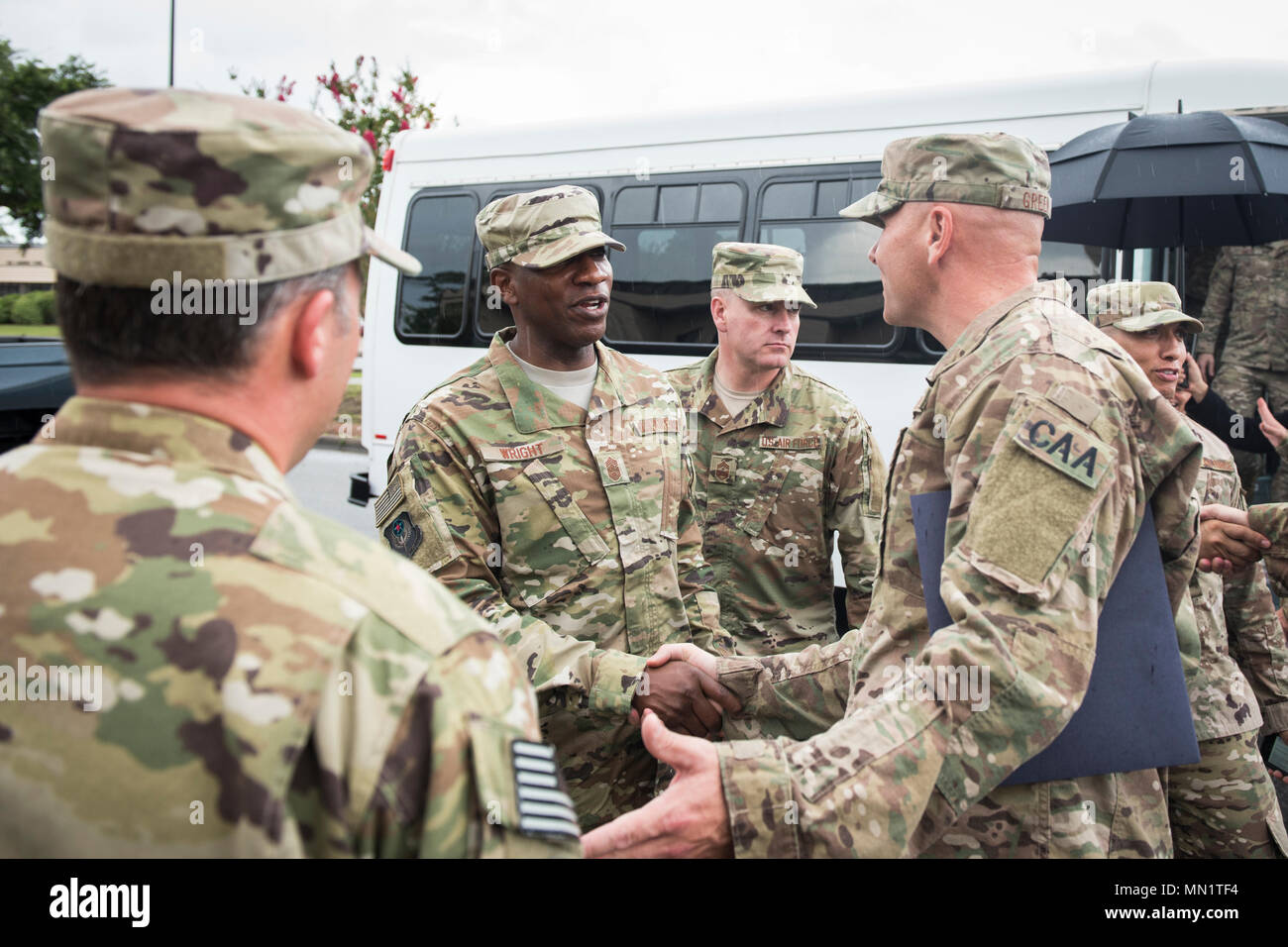 492 sow hi-res stock photography and images - Alamy