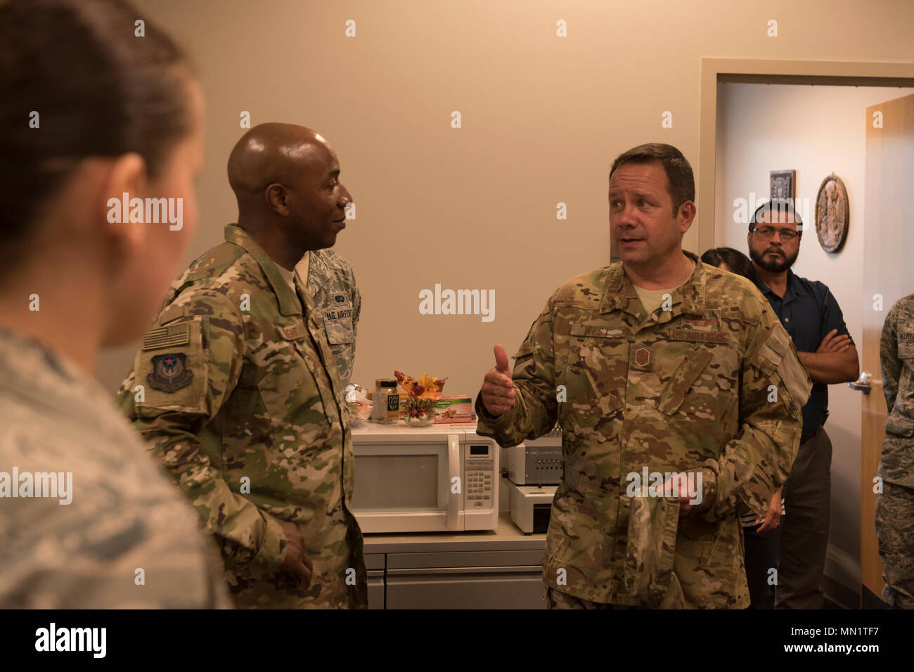 492 sow hi-res stock photography and images - Alamy