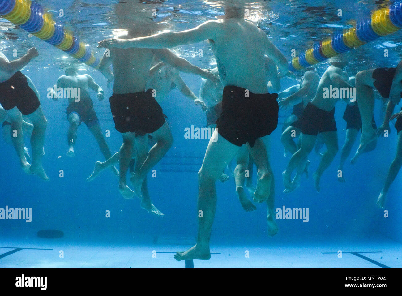 U.S. military members complete a 10-minute swim assessment during a ...
