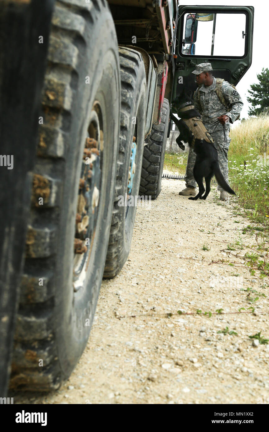 A U.S. Army dog handler conducts a canine vehicle sweep during a ...