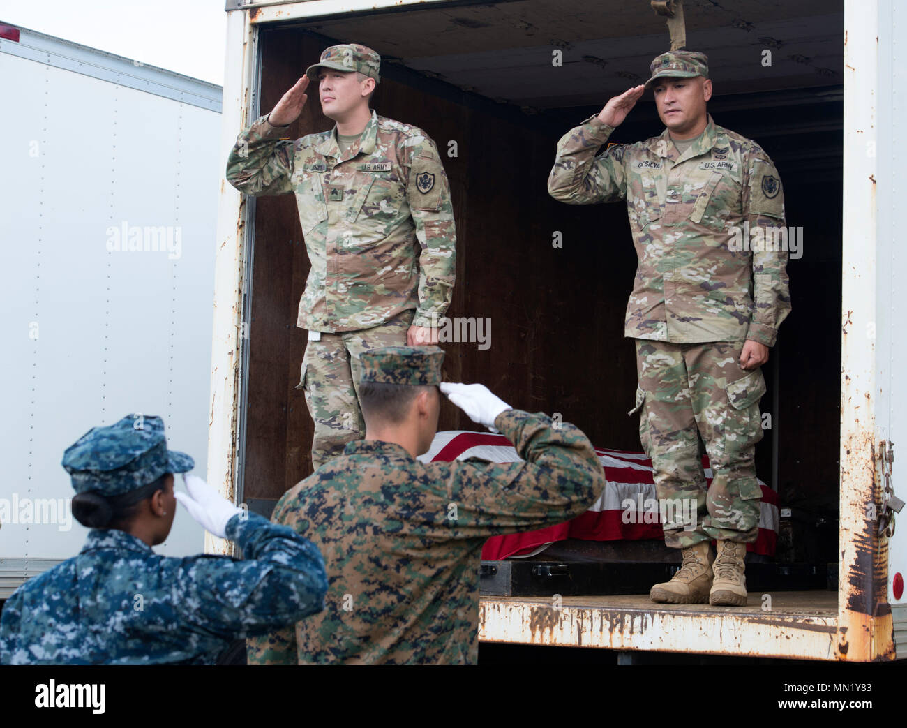 Defense POW/MIA Accounting Agency (DPAA) personnel render a salute ...