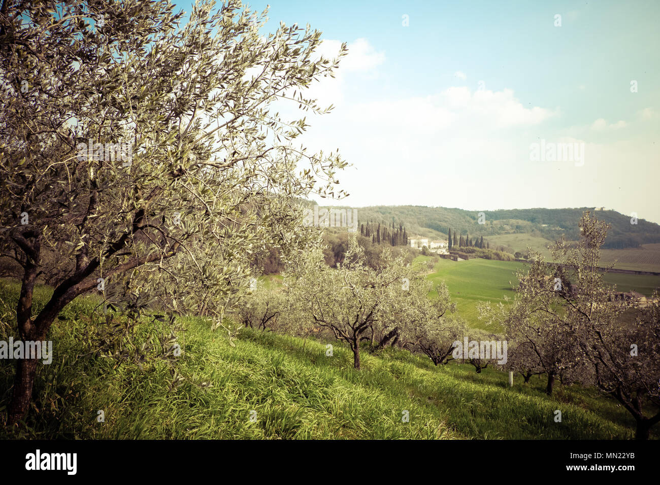 Valpantena hi-res stock photography and images - Alamy
