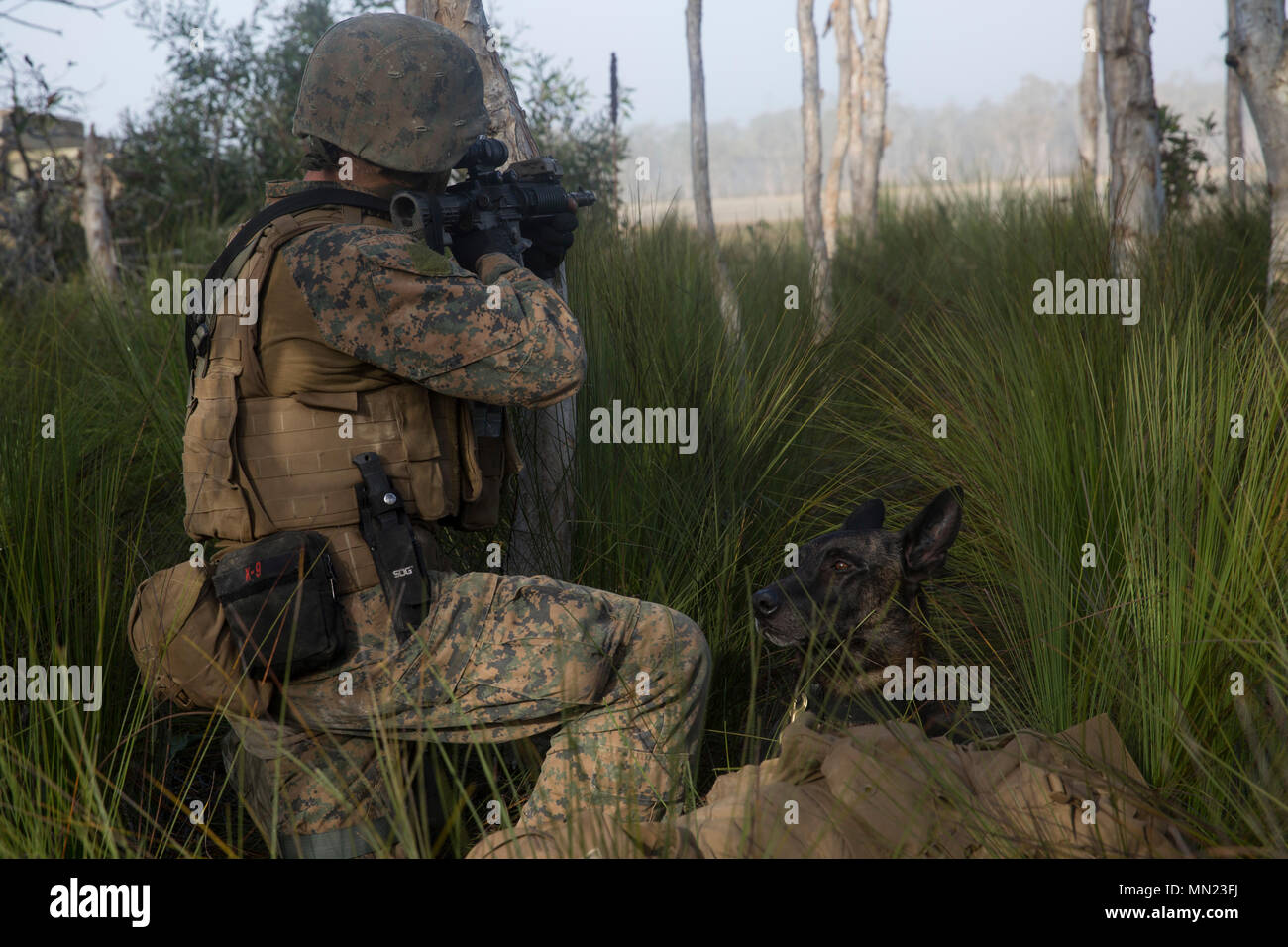 Sgt. Jacob H. Buck, a dog handler attached to the Command Element of ...