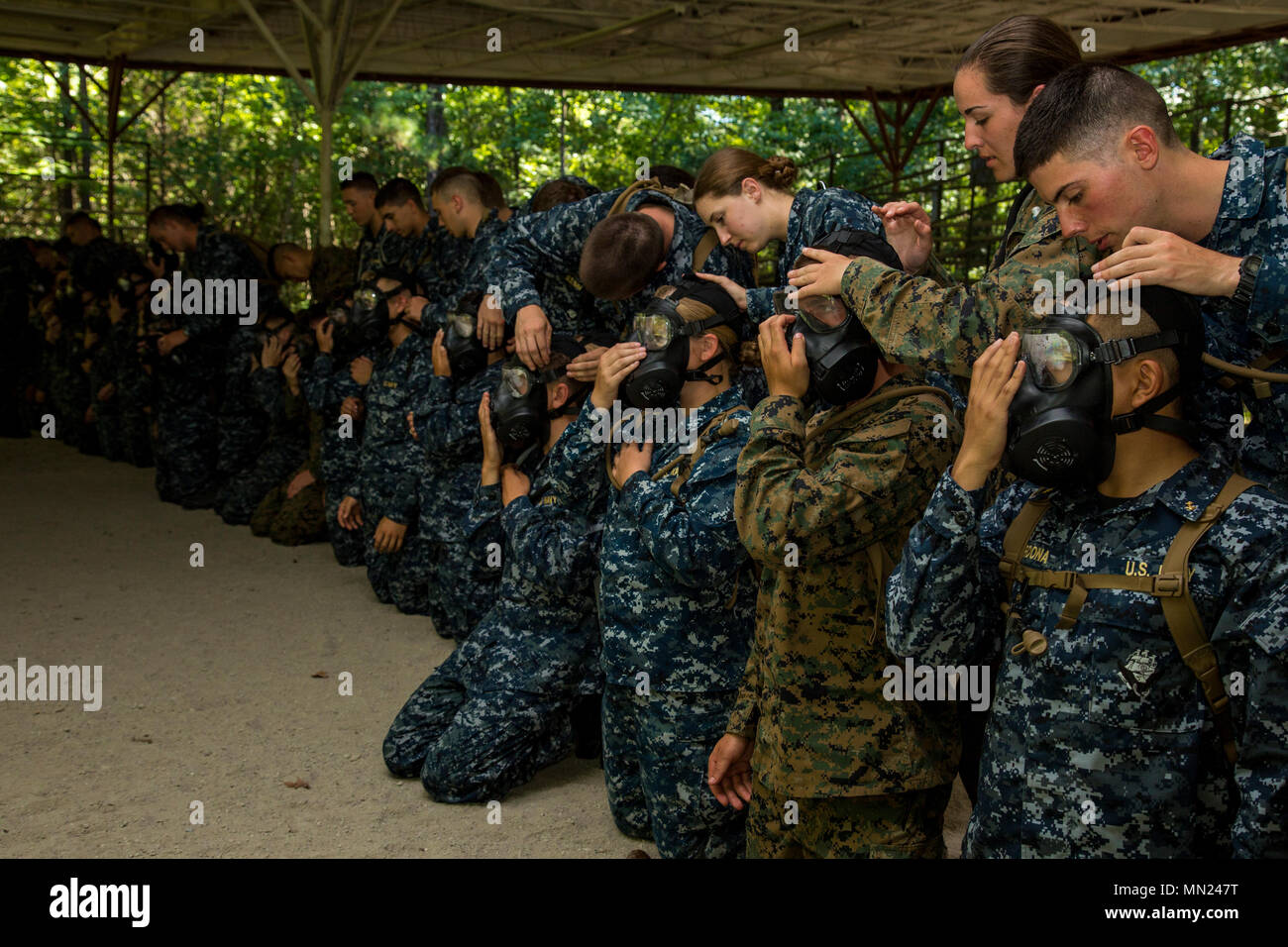 M50 joint service general purpose gas masks hi-res stock photography ...