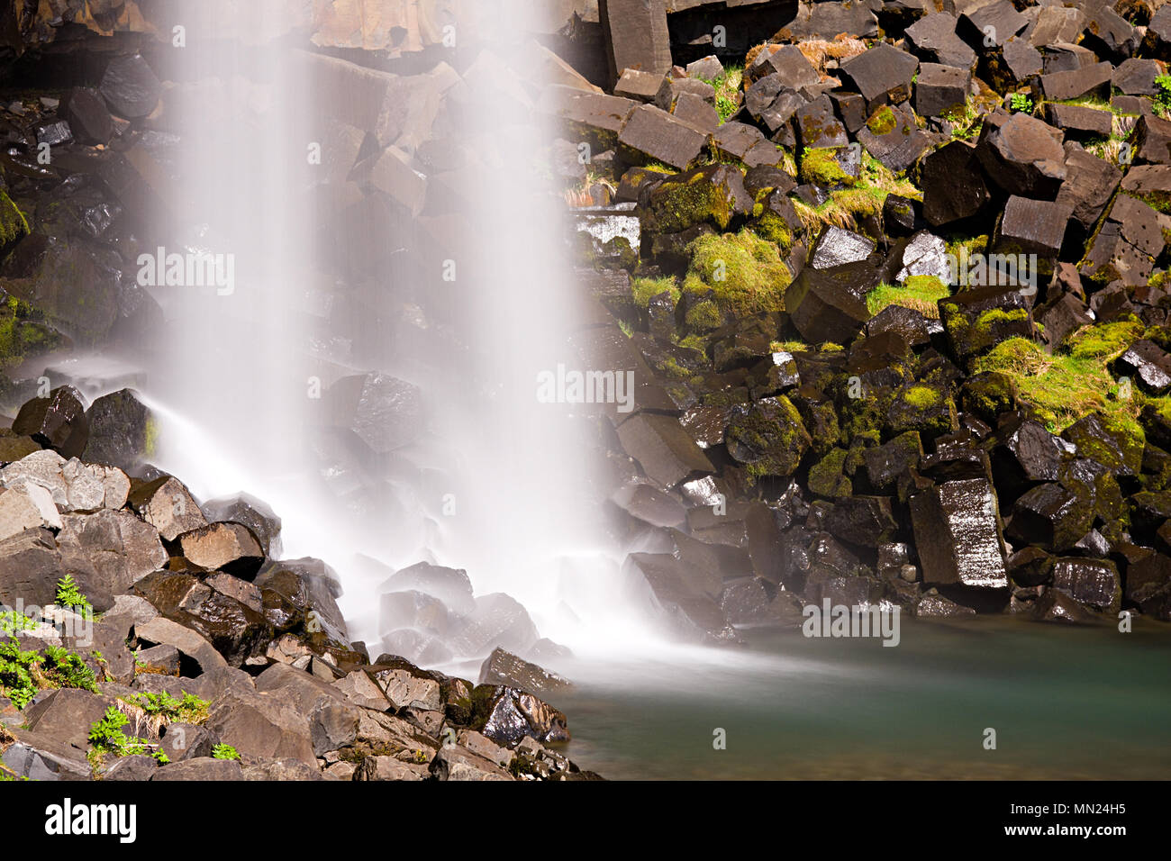 The Svartifoss in Iceland falling on broken basalt columns Stock Photo ...