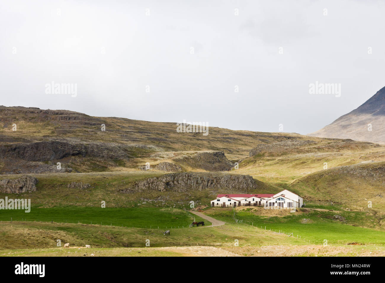 An icelandic farm house in sparse landscape Stock Photo - Alamy