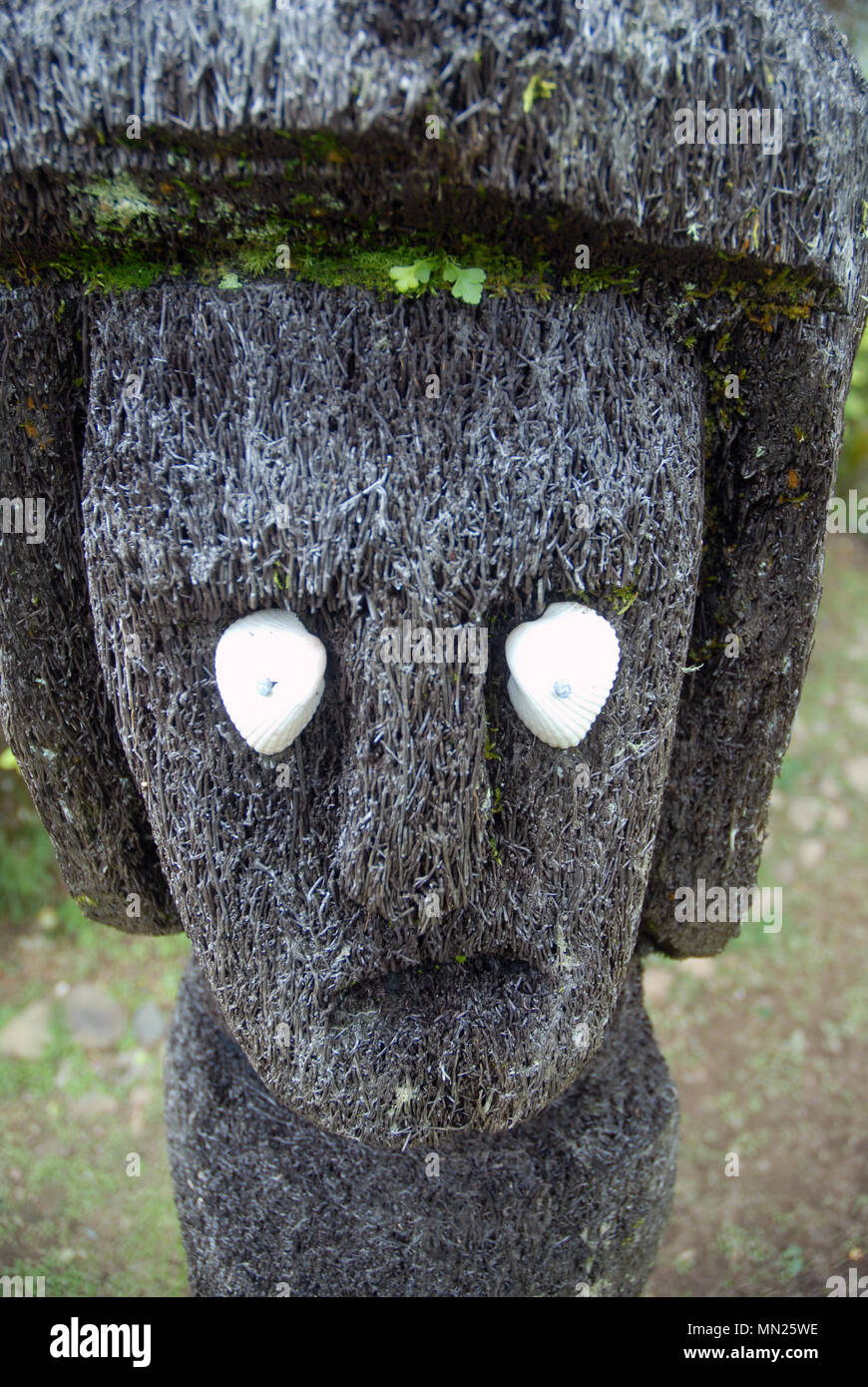Tiki tree head, Pacific Harbour, Fiji Stock Photo - Alamy