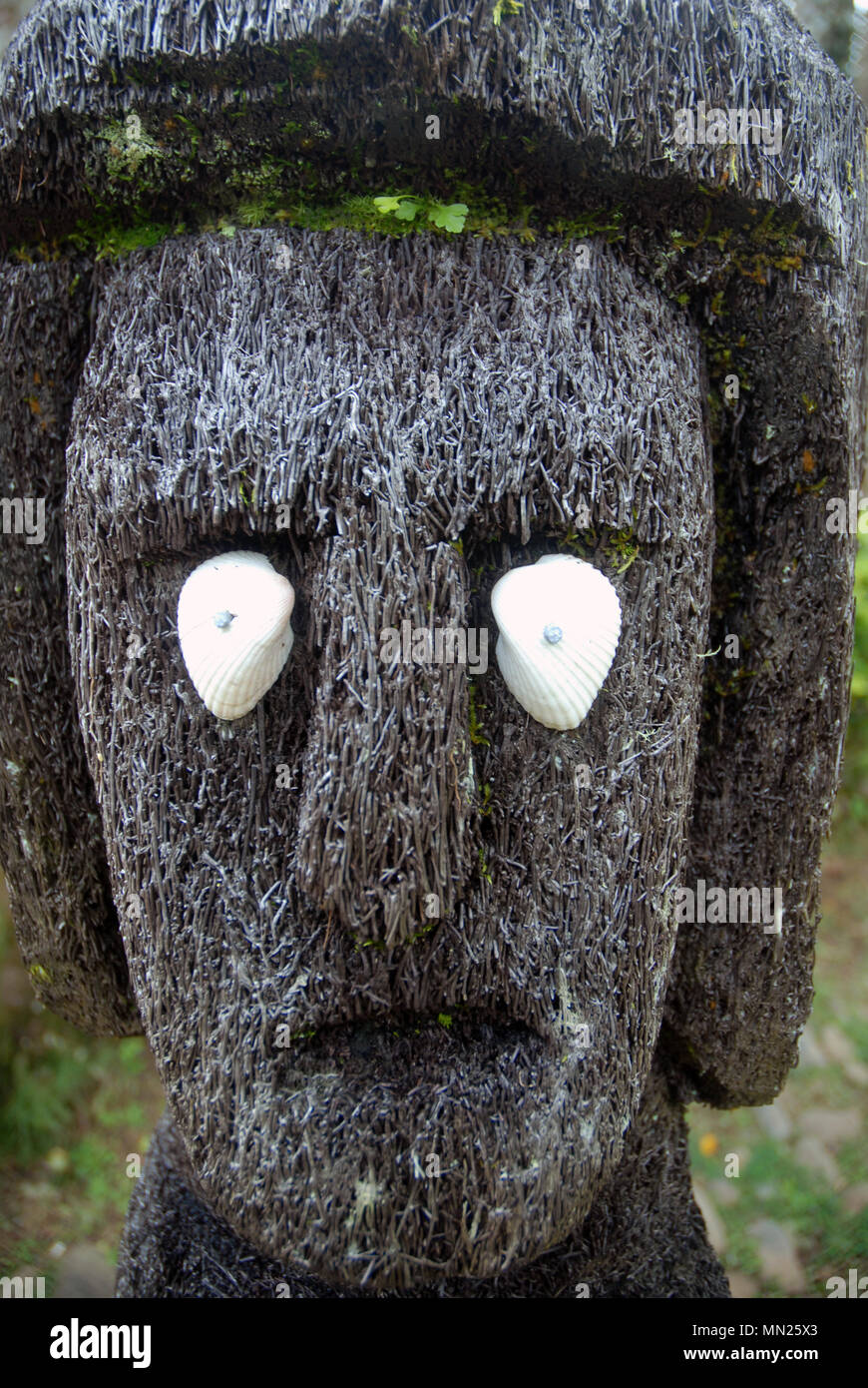 Tiki tree head, Pacific Harbour, Fiji Stock Photo - Alamy