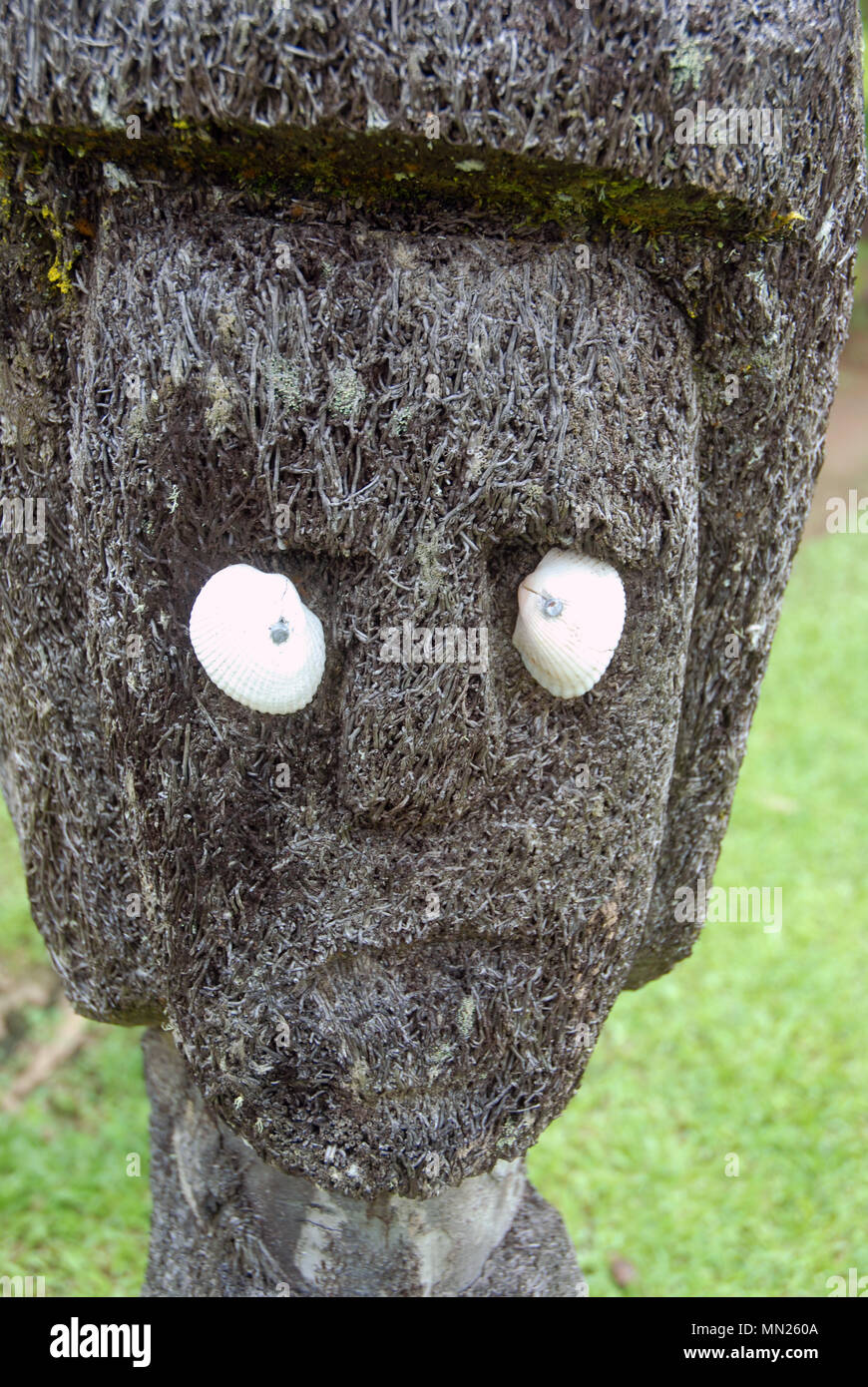 Tiki tree head, Pacific Harbour, Fiji Stock Photo - Alamy