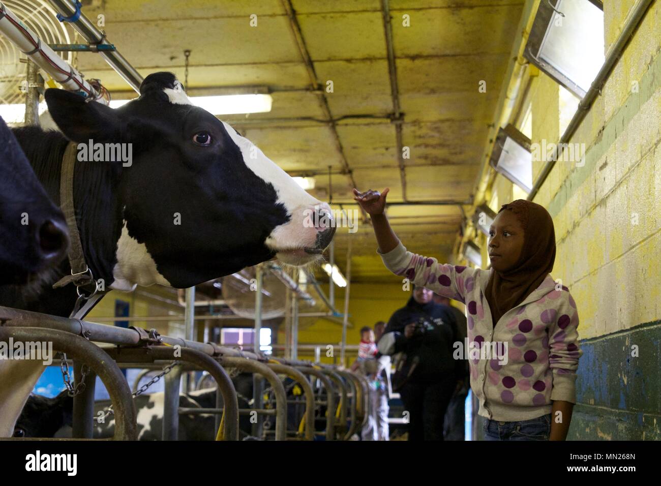 Cow girl hi-res stock photography and images - Alamy