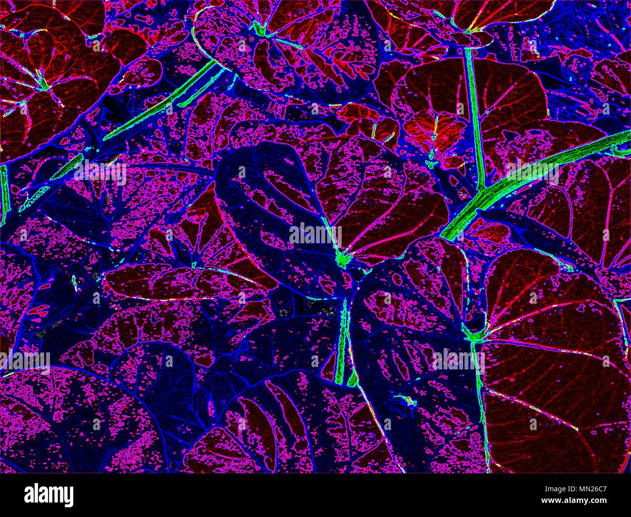 Abstract forest background Stock Photo - Alamy
