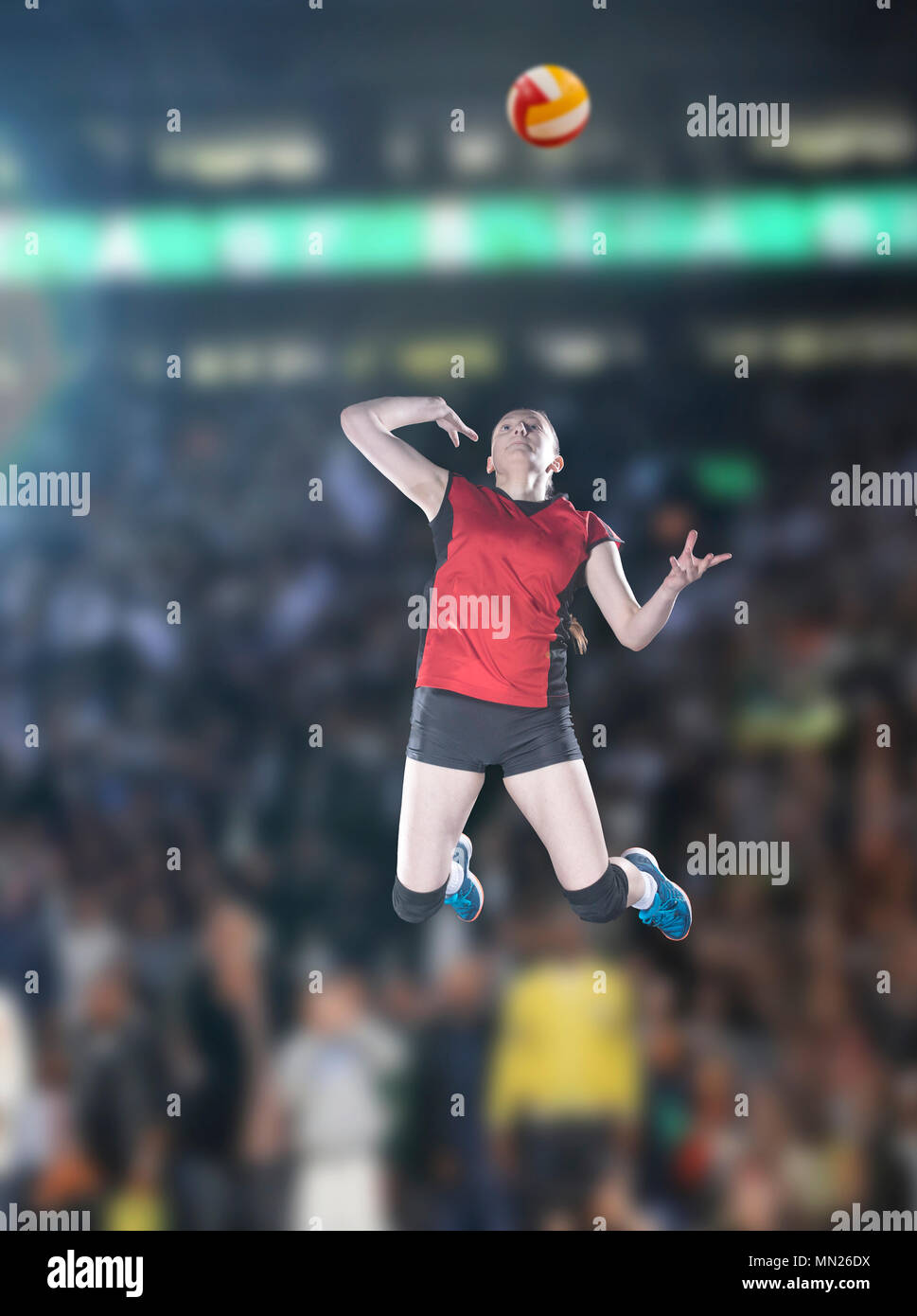 Female volleyball players jumping close-up on vollayball court Stock ...