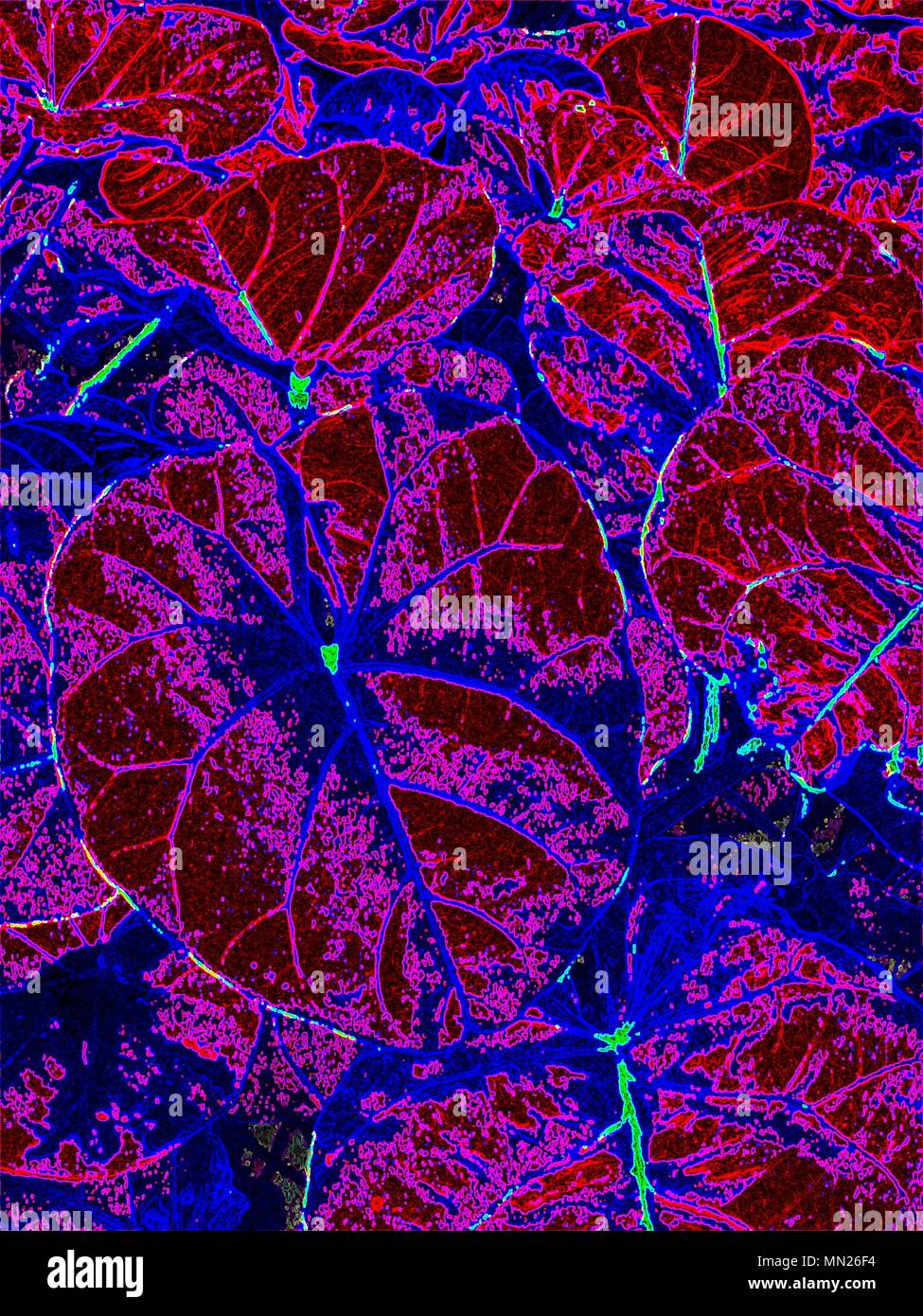 Abstract forest background Stock Photo - Alamy