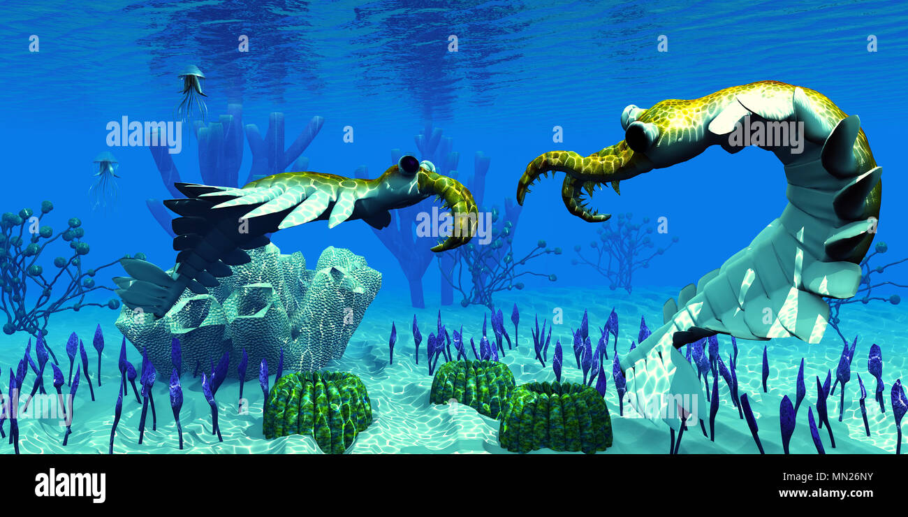 Prehistoric marine invertebrates hi-res stock photography and images ...